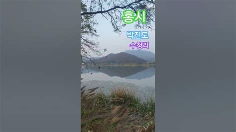 홍시 박진도 나훈아 미스터트롯2 미스트롯2 이동용 Youtube