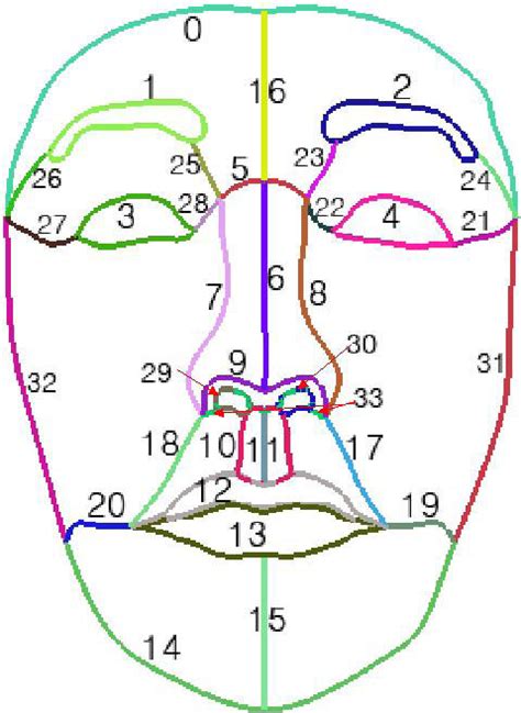 14 Features Of Nurbs Curve Face Model Download Scientific Diagram