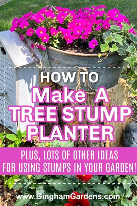 How To Make A Tree Stump Planter Lots Of Creative Ideas Gingham Gardens Tree Stump Planter