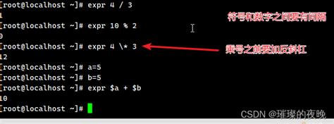 Shell算术运算符详解 Csdn博客