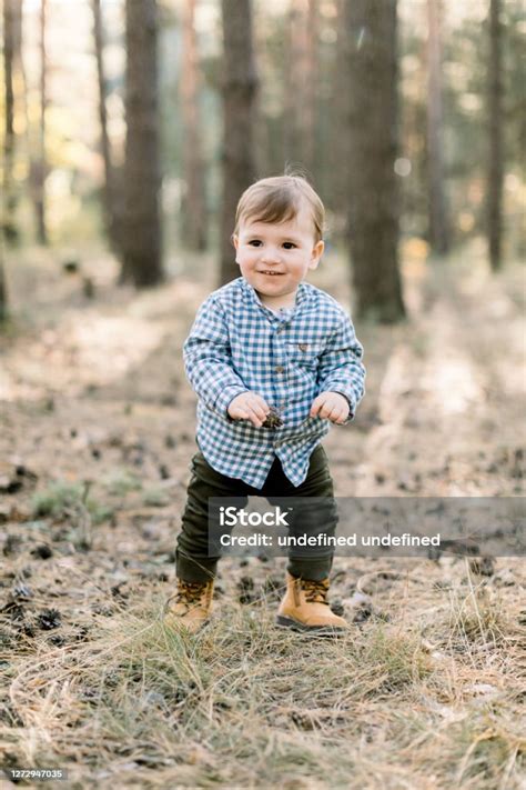 세련된 체크 무늬 셔츠 바지와 신발을 입은 작은 행복한 아이 소년은 소나무 가을 나무의 배경에 공원이나 가을 소나무 숲에 서서