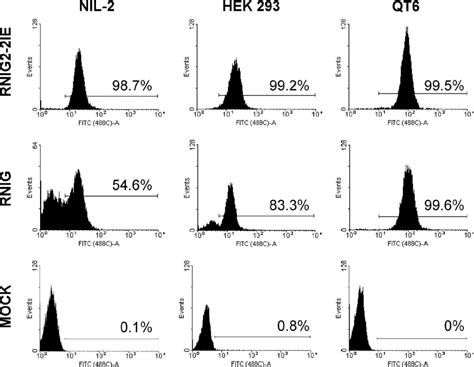 Facs Analysis Of Gfp Expression From Modified And Unmodified Vector Download Scientific Diagram