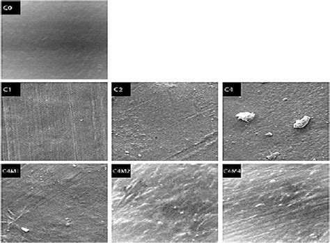 Sem Micrographs Of The Cross Section Area Of Neat Hdpe And Its