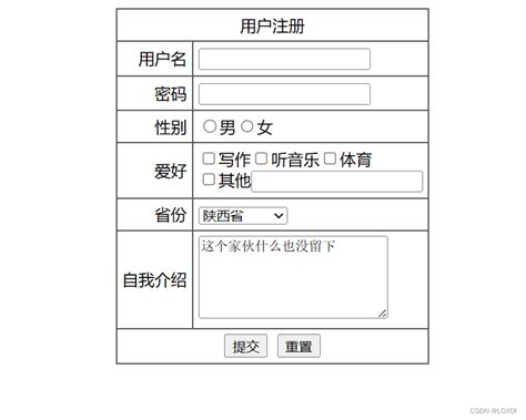Web表单标签小练习 Csdn博客