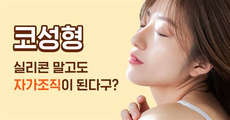 자가조직 코성형 자연스럽게 코 높혀 볼까