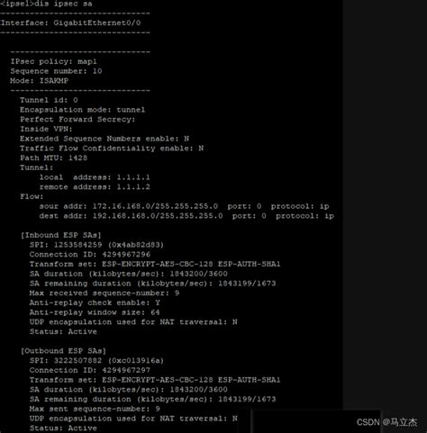 h3c ipsec配置手记 h3c ipsec 配置 csdn博客