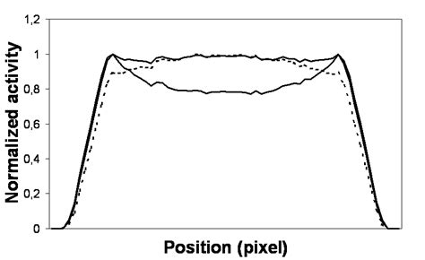 Reconstructed Attenuation Map Of Same Cortical Slice With Profile Download Scientific Diagram