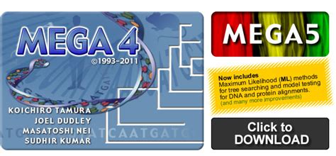 Mega Molecular Evolutionary Genetics Analysis