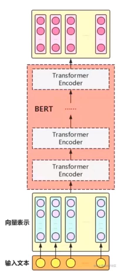 Bert模型预训练和微调 掘金