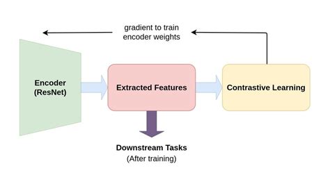 Training An Encoder And Transfering Knowledge For Downstream Tasks Download Scientific Diagram