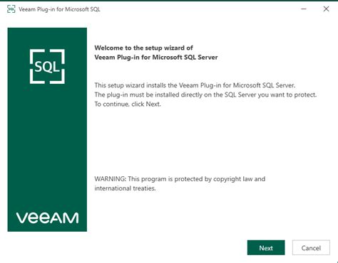 Guide Anatomy Of Veeam Plug In For Microsoft Sql Server Always On