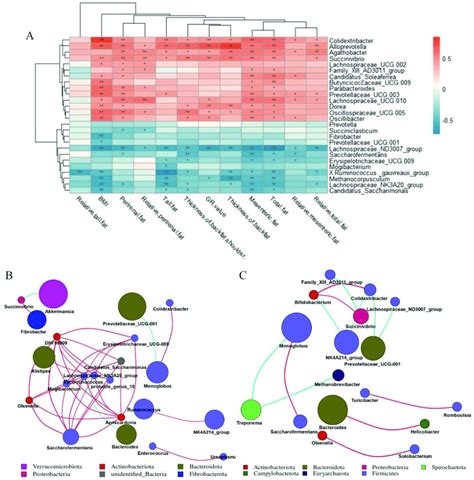 Correlation Analysis Correlation Network Analysis Diagram Constructed Download Scientific