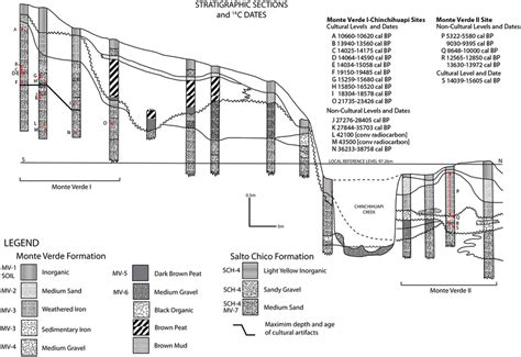 Schematic Representation Of The Stratigraphic Cross Sections Of The Download Scientific Diagram
