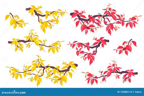 Autumn Tree Branches Set Vector Flat Stock Vector Illustration Of