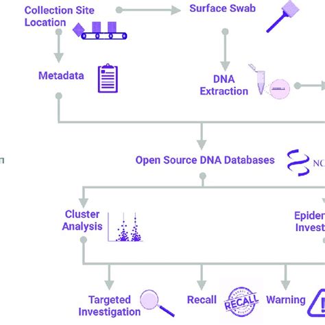 An Overview Of Infectious Disease Surveillance And Outbreak Download Scientific Diagram