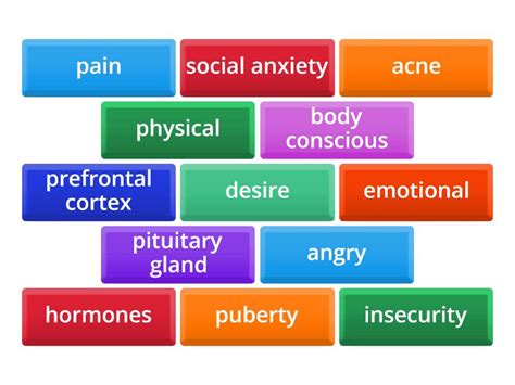 Pshe Puberty Flip Tiles