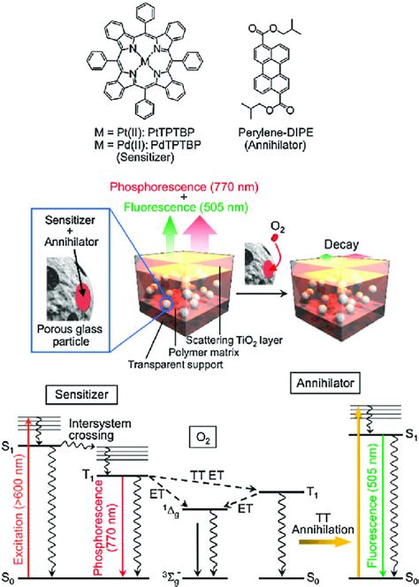 Schematics Of The Optical Oxygen Sensor And The Energy Diagram In The Download Scientific