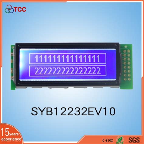 Graphic COB LCD Display X Dots LCM Module Stn Blue With IC Sed China LCM And LCD Price
