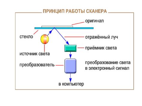 Сканирование изображений - презентация онлайн