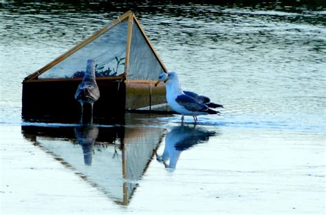 Unidentified Floating Object X