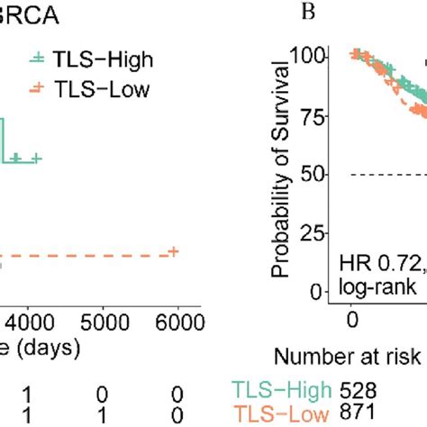 Kaplanmeier Curves For Overall Survival According To Tls Signature Download Scientific Diagram
