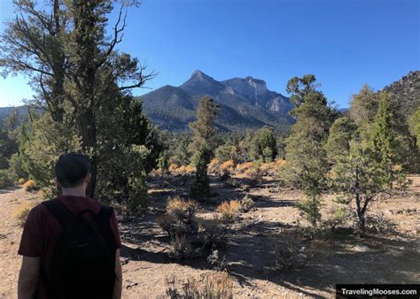 Easy Hiking Trails On Mt Charleston