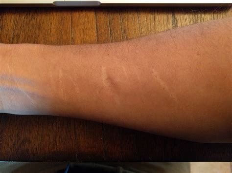 Building Jamstack Applications With Gatsby And Aws Amplify Framework By Kurtiskemple