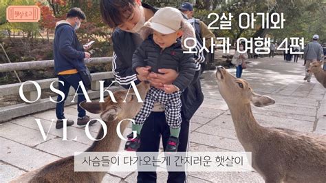 육아브이로그 15개월 아기와 나라 방문기 사슴공원에서 아기는 과연 어떤 시간을 보냈을까 엄마는 무서워하는데 아기는