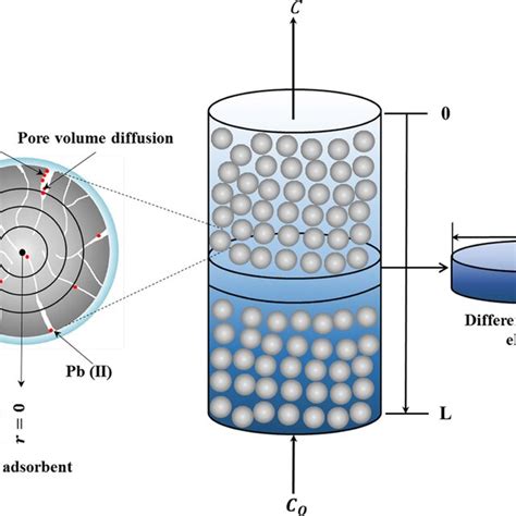 Schematic Of A Packed Bed Adsorber Where Download Scientific Diagram
