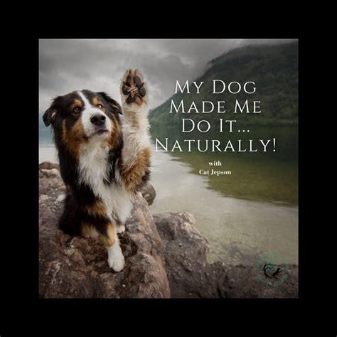 Podcast My Dog Made Me Do Itnaturally Apple Podcasts