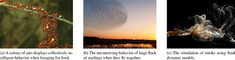 Crowd Behavior Analysis A Review Where Physics Meets Biology
