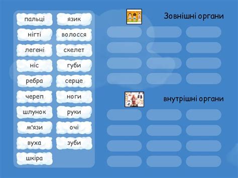 Будова тіла людини Group Sort