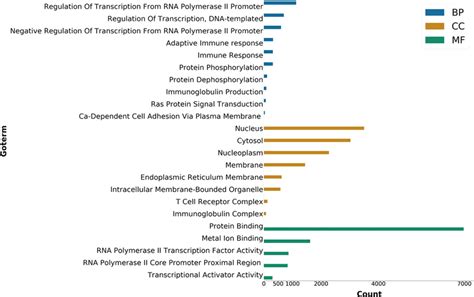 David Functional Gene Ontology Go Analysis Of Biological Process Download Scientific Diagram