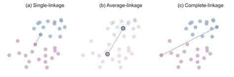 7 Clustering Veridical Data Science