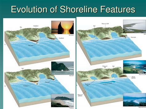 Ppt Shoreline Features And Processes Powerpoint Presentation Free