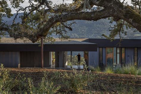 Tree Lichen Influences California House By Schwartz And Architecture