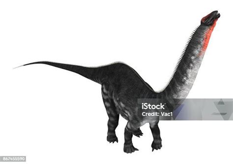 3d 렌더링 공룡 Apatosaurus 화이트에 0명에 대한 스톡 사진 및 기타 이미지 0명 공룡 과학 Istock