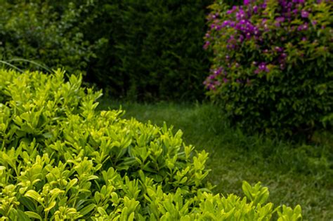 쓰레기를 분리하기 위한 유색 쓰레기통 흰 벽 근처의 다양한 종류의 폐 플라스틱 유리 종이 쓰레기를 재활용하기위한 쓰레기통 0명에 대한 스톡 사진 및 기타 이미지 Istock