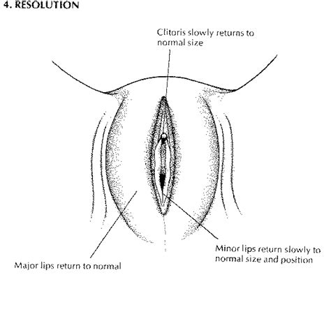 Archive For Sexology