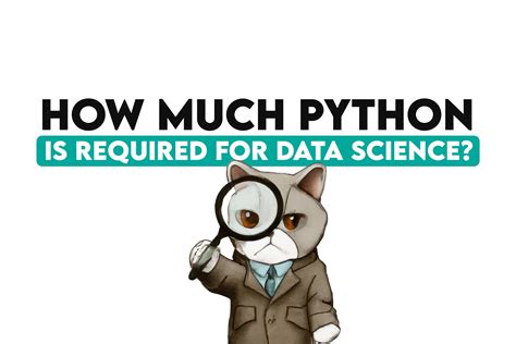 How Much Python Is Required For Data Science Stratascratch