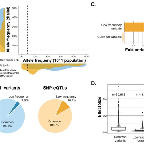 Low Frequency Variants And Gene Expression Variation A Comparison Of