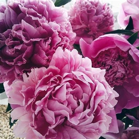 Лето Запись со стены