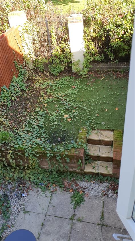 Bought A House With Plastic Grass Garden I Hate Gardening But Hate