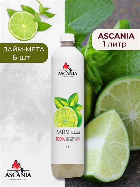 Газированный напиток ASCANIA Лайм Мята 1лх6 шт - купить с доставкой по ...