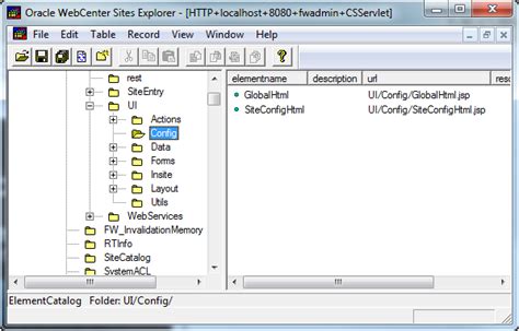 Oracle Webcenter Sites 11g Customizing The Contributor Interface