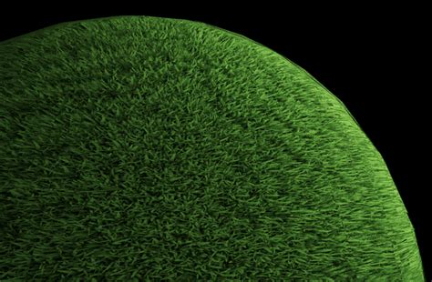 Check Out This Grass Shader I Made Runity3d Check Out This Grass Shader I Made Runity3d