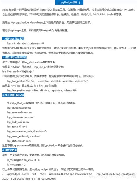 pgbadger监控安装和使用 pgbadger docker安装 远程监控 csdn博客