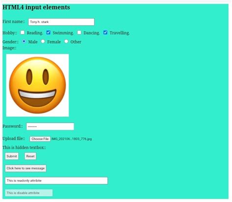 Html Input Elements Types And Attributes From Basic To Advance