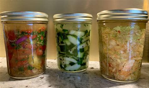 First Time Lacto Fermentation Major Concerns Rfermentation