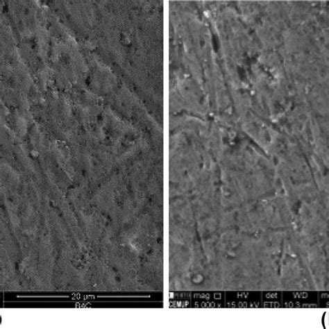 Top View Of The A B4c And B Tib2 Coatings Regarding The Morphology